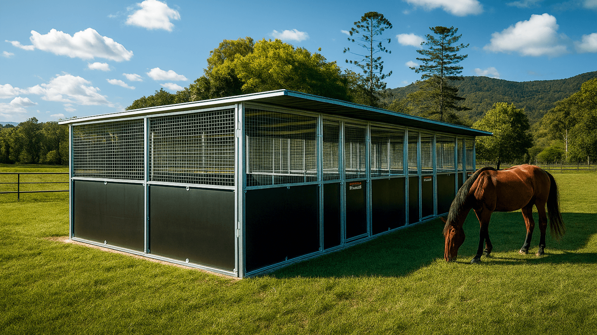 The Horse Stable Welfare Benchmark: Why 2.5m Height and Fully Welded ...